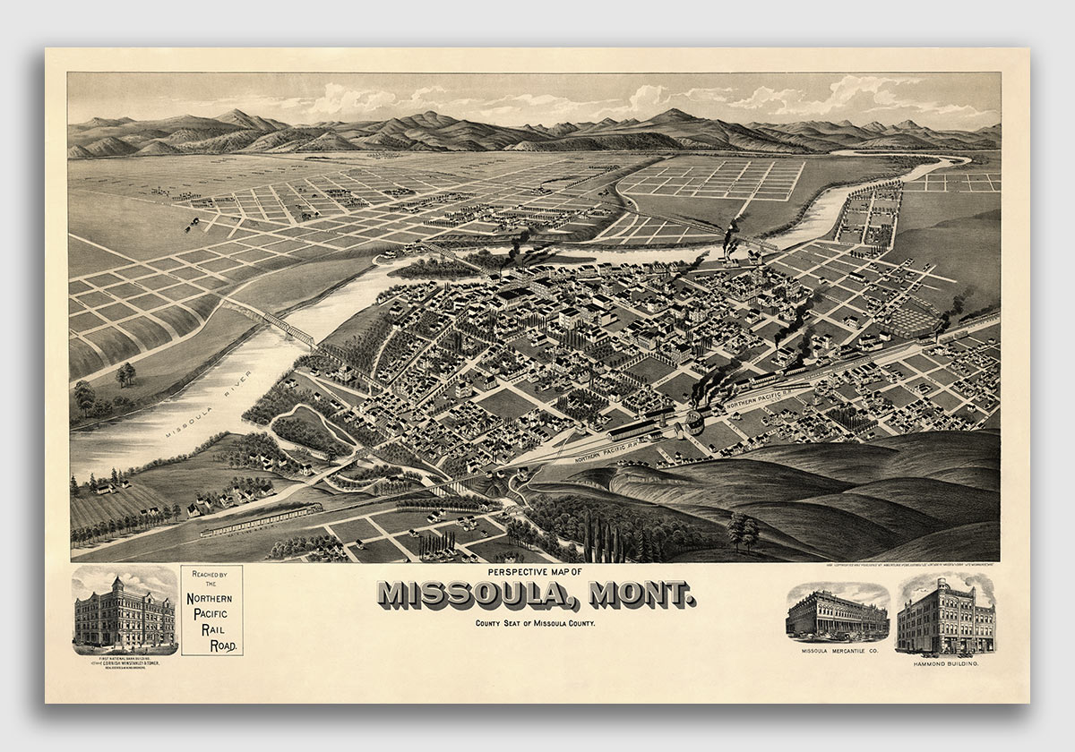 Collectables Tigers playing cards Jackson Robinson Kings Wild Limited ...