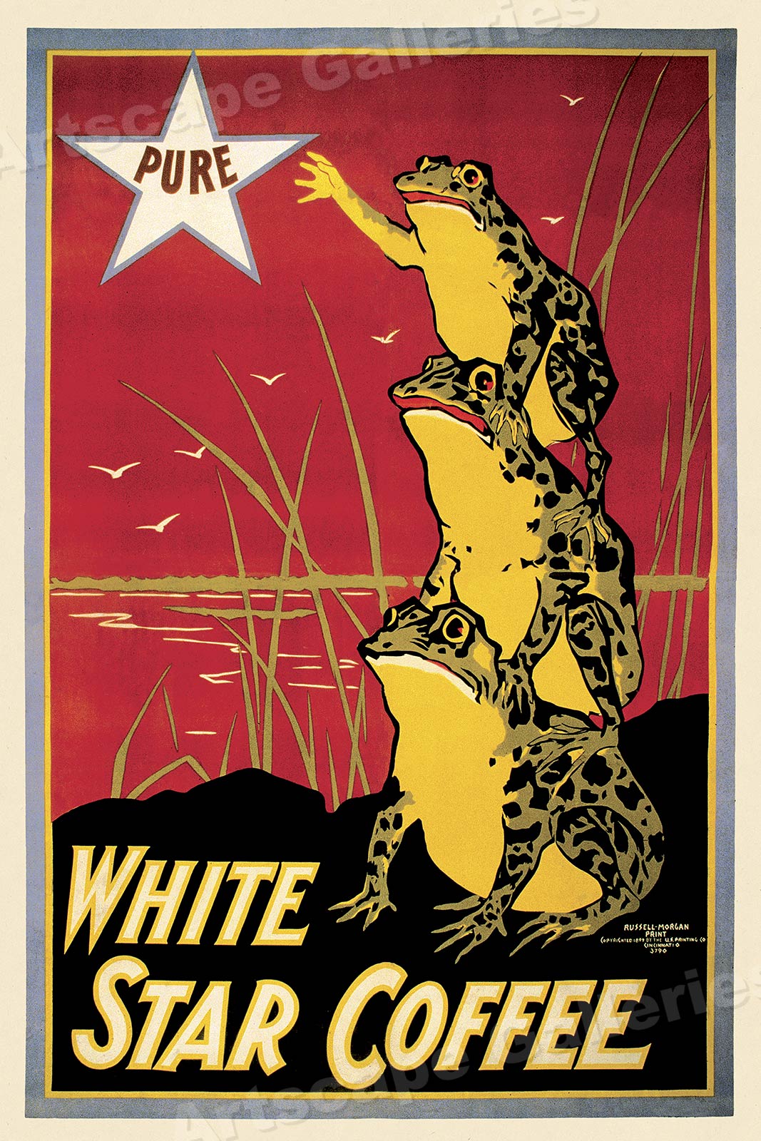 1899 White Star Coffee Vintage Style Frog Advertising Poster - 16x24 | eBay